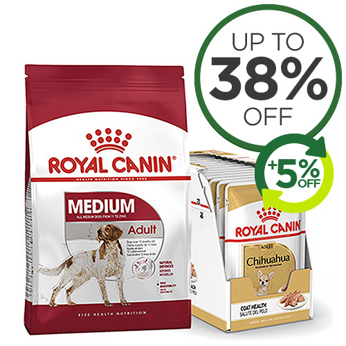 Budget Pet Products Discount Dog Products, Pets, Pet Shops, Pet Store ...