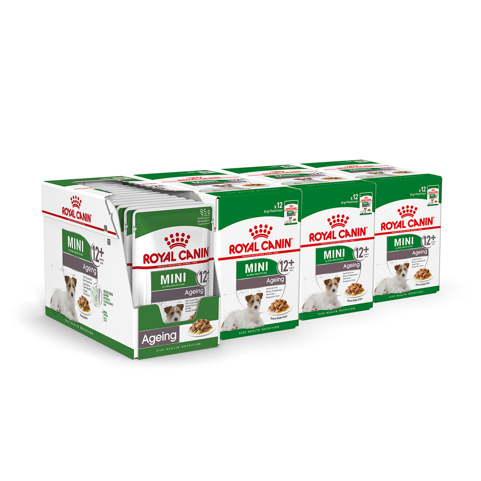Royal Canin Mini Ageing 12+ Years In Gravy Pouches Wet Dog Food 85gm x ...