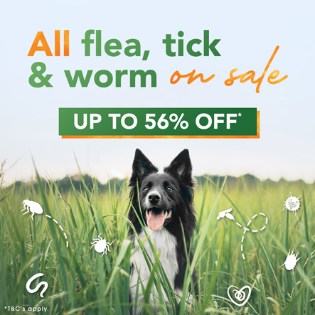 Flea, Tick & Worm Sale Terms & Conditions 2024 | Budget Pet Products