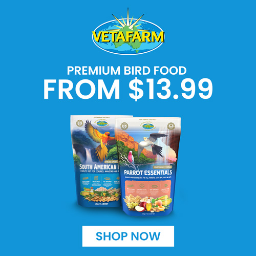 Protexin Veterinary Cystophan Urinary Capsules For Cats 30 Capsules ...